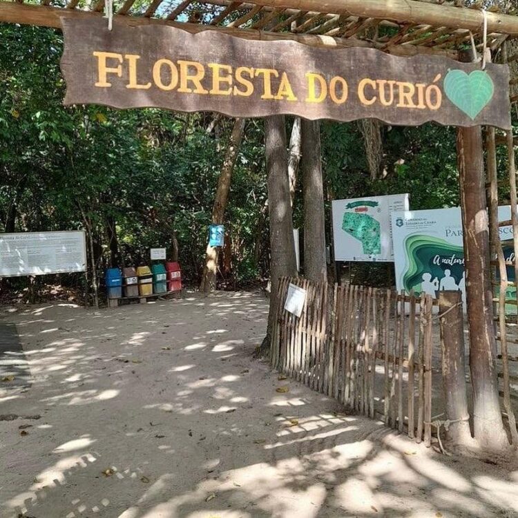10 parques para visitar em Fortaleza - VemTambém